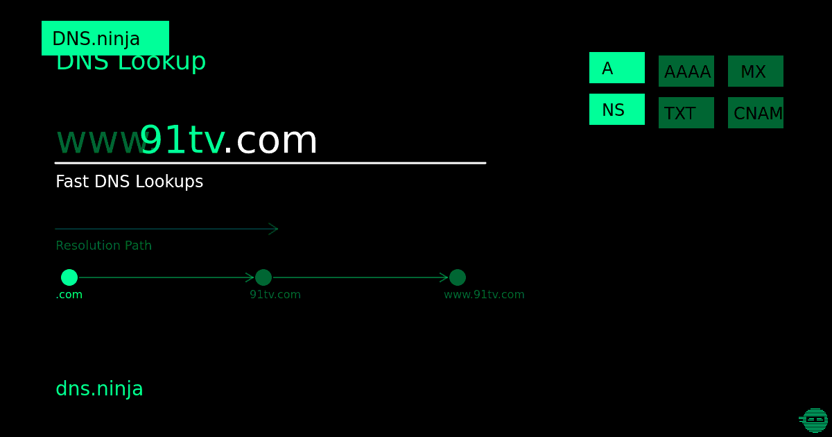 www.91tv.com - DNS Lookup