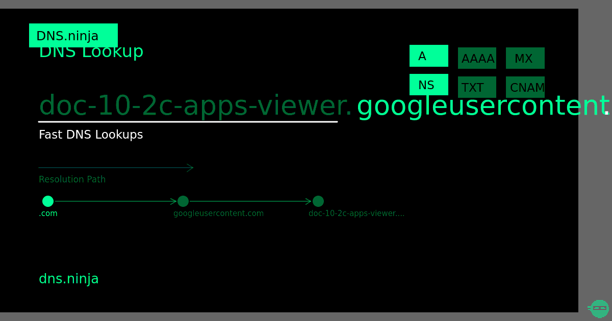 doc-10-2c-apps-viewer.googleusercontent.com - DNS Lookup