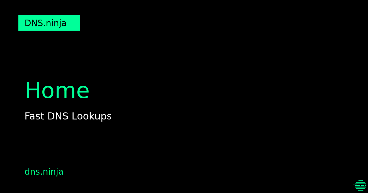 DNS Ninja - Fast DNS Lookup & Domain Intelligence